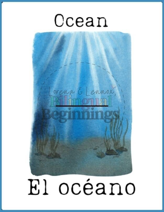 23 Bilingual Earth Day Flashcards in Spanish and English - Etsy
