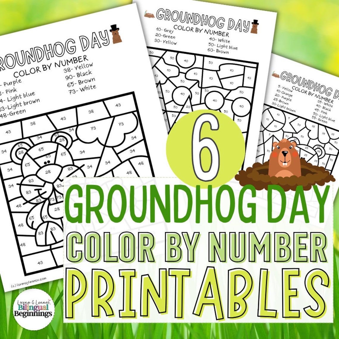 Groundhog Day Color by Number Printables english - Etsy