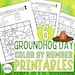 Groundhog Day Color by Number Printables (english) - Etsy