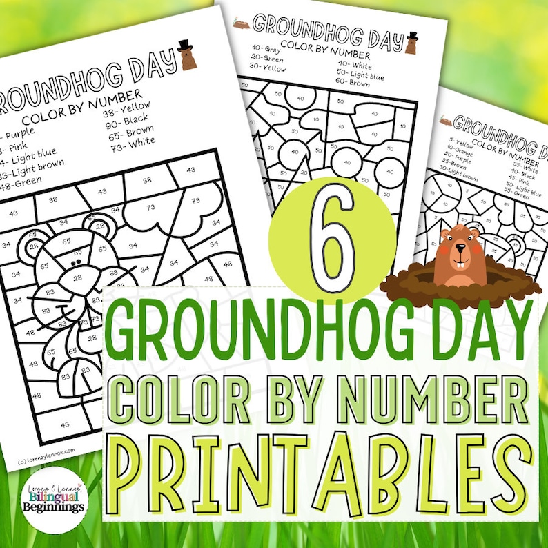 Groundhog Day Color by Number Printables (english) - Etsy