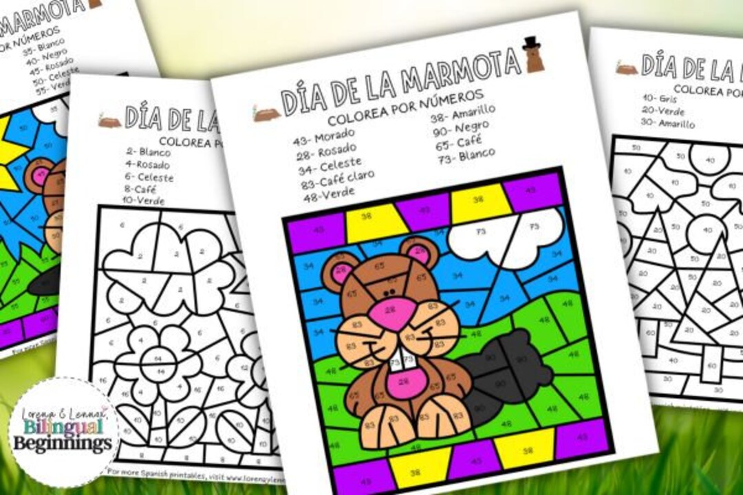 Groundhog Day Color by Number Printables in Spanish (6) - Etsy