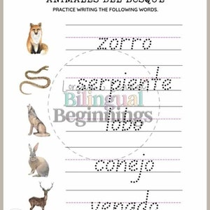 Forest Animals Printable Worksheets and Flash Cards in Spanish - Etsy