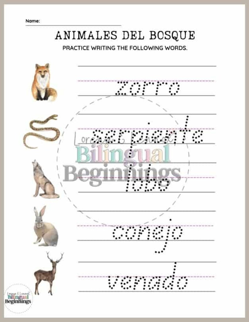 Forest Animals Printable Worksheets and Flash Cards in Spanish - Etsy