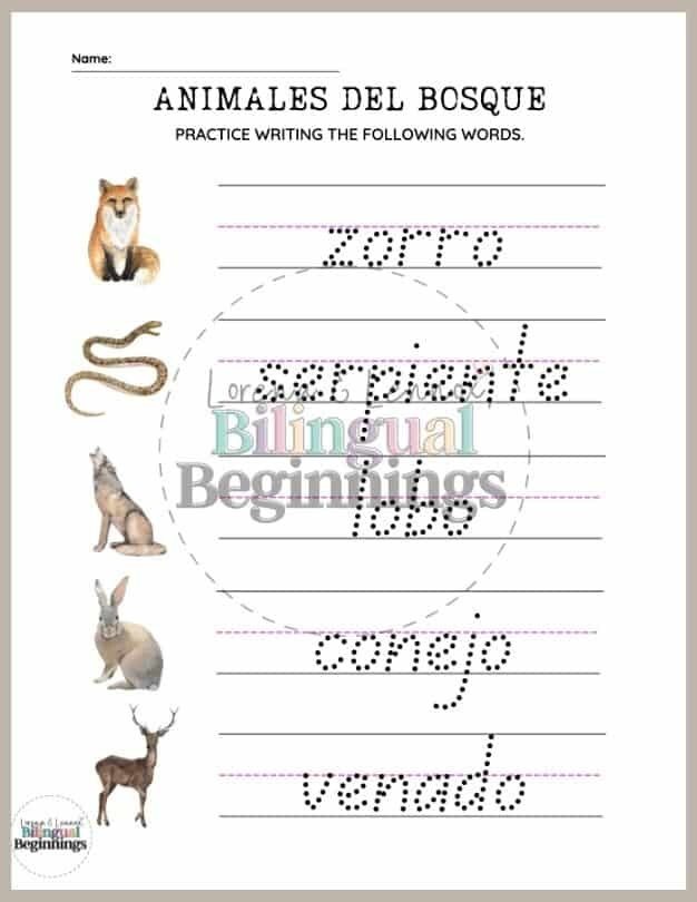 Forest Animals Printable Worksheets and Flash Cards in Spanish - Etsy