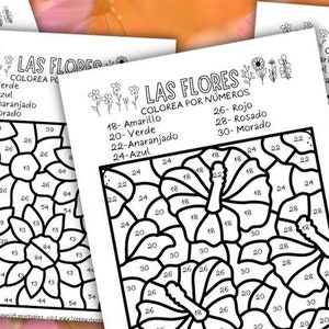 Flower Color by Number Coloring Pages in SPANISH - Etsy