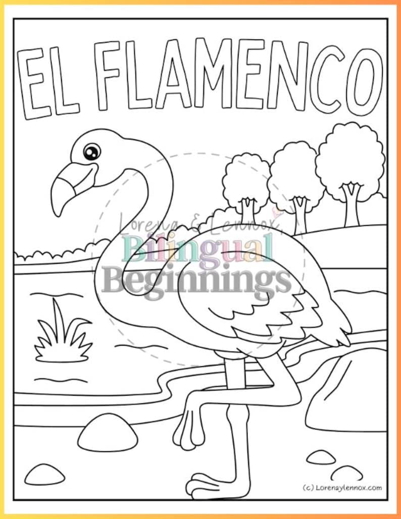 11 Zoo Animals Coloring Pages in Spanish - Etsy
