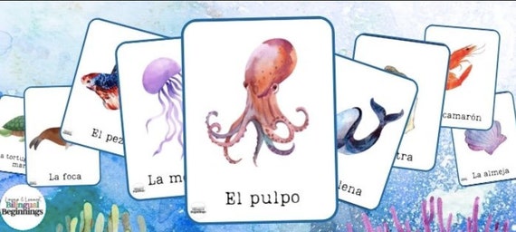 Ocean Animal Flashcards in Spanish - Etsy