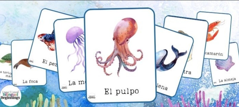 Ocean Animal Flashcards in Spanish | Etsy