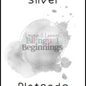 13 Bilingual Spanish english Color Flashcards in Spanish - Etsy