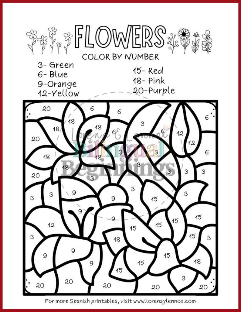 Flower Color by Number Coloring Pages in ENGLISH for Kids - Etsy
