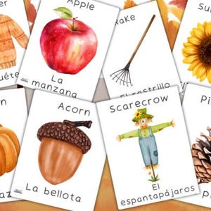 23 Bilingual Spanish/english Fall Flashcards - Etsy
