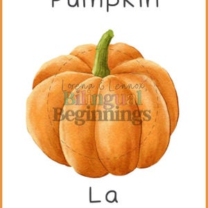 23 Bilingual Spanish/english Fall Flashcards - Etsy