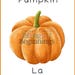 23 Bilingual Spanish/english Fall Flashcards - Etsy