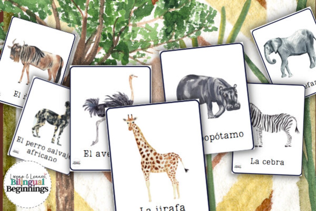 Zoo/safari Animals Flashcards in Spanish - Etsy