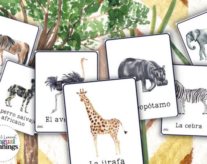 Zoo/safari Animals Flashcards in Spanish - Etsy