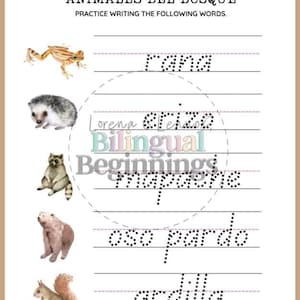 Forest Animals Printable Worksheets and Flash Cards in Spanish - Etsy