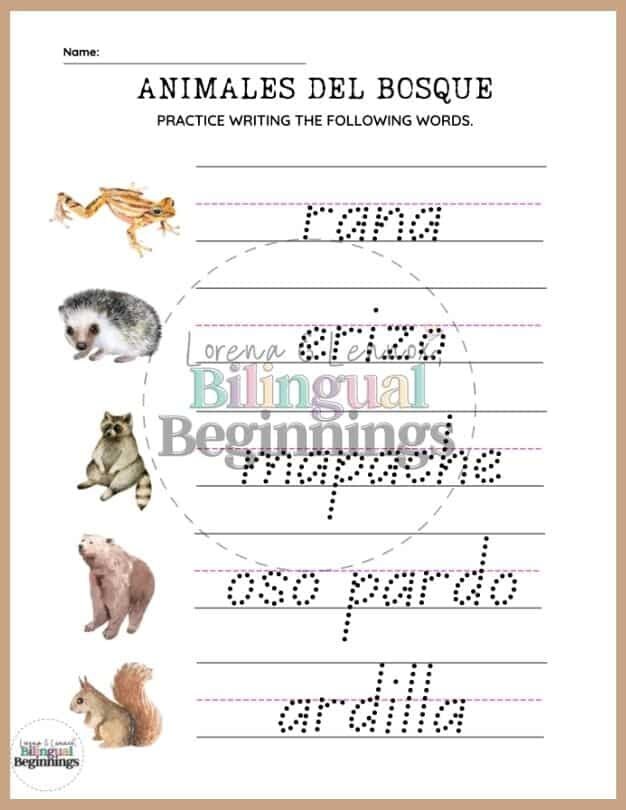 Forest Animals Printable Worksheets and Flash Cards in Spanish - Etsy