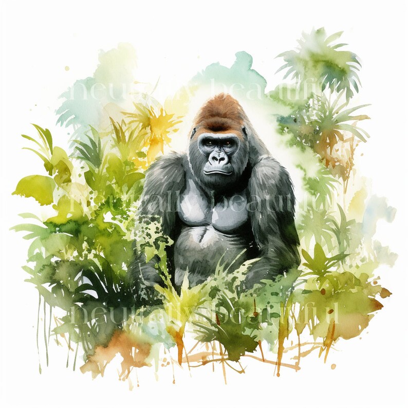 Rainforest Gorillas - 12 High Quality Downloadable Jpgs - Animal ...