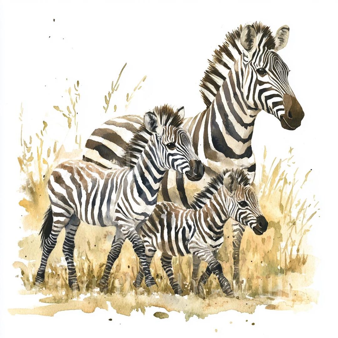 10 X Family of Zebra Clipart - High Quality JPG Bundle - Baby Wild ...