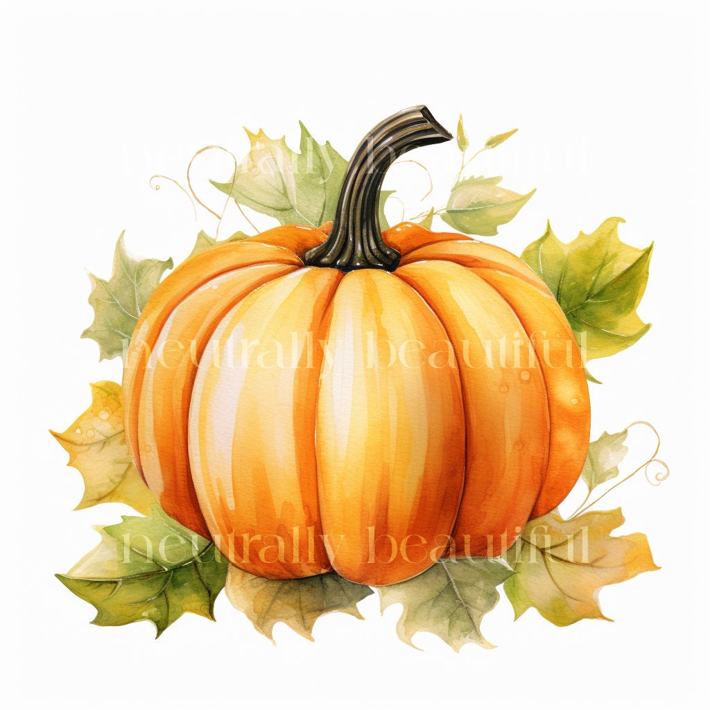 Autumn/fall Pumpkins - 12 High Quality Downloadable Jpgs - Flower ...