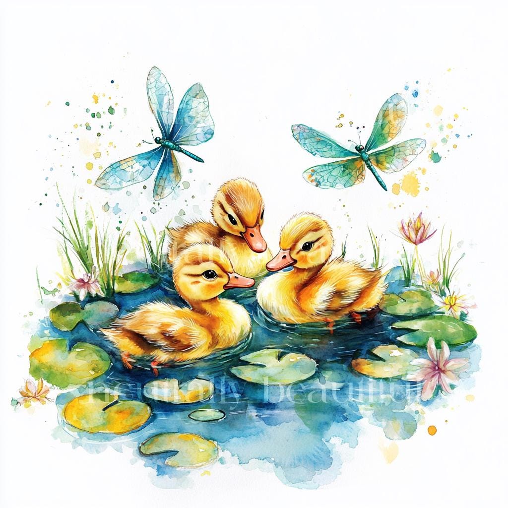 10 X Pretty Duckponds Clipart Bundle - High Quality Jpgs - Spring ...
