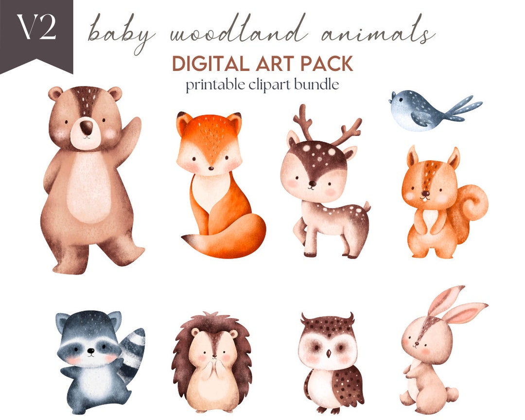 Baby Woodland Animal Clipart - High Quality JPG/PNG Downloads ...