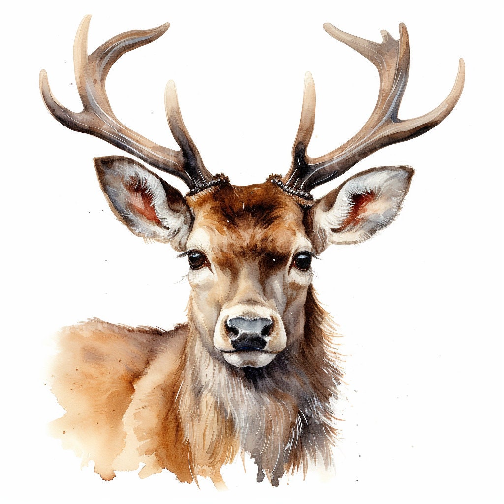 Individual Reindeer Clipart Images - 10 High Quality Downloadable Deer ...