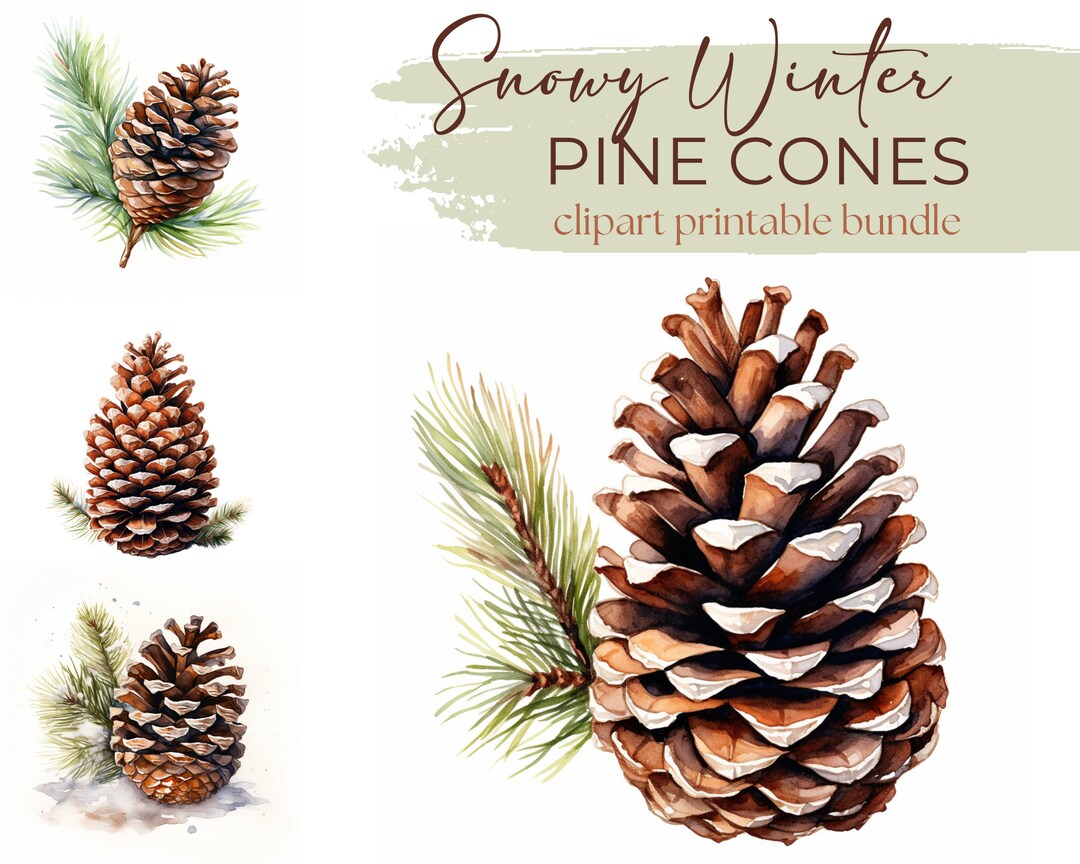 Snowy Pine Cones Downloadable Clipart - 10 Jpgs - Downloadable ...