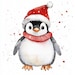 30 X Cute Christmas Penguin HUGE Clipart Bundle - High Quality Jpgs ...