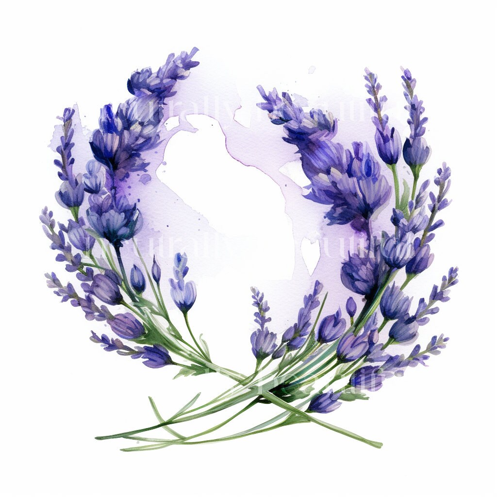 Lavender Frames Downloadable Clipart - 10 Jpgs - Downloadable Printable ...