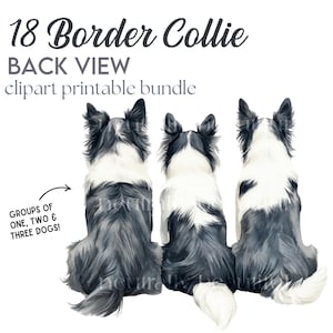 18 X Border Collie Clipart Bundle - High Quality JPG Watercolour ...