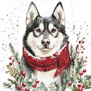 12 X Husky Dogs at Christmas Clipart Bundle - High Quality Jpgs Festive ...