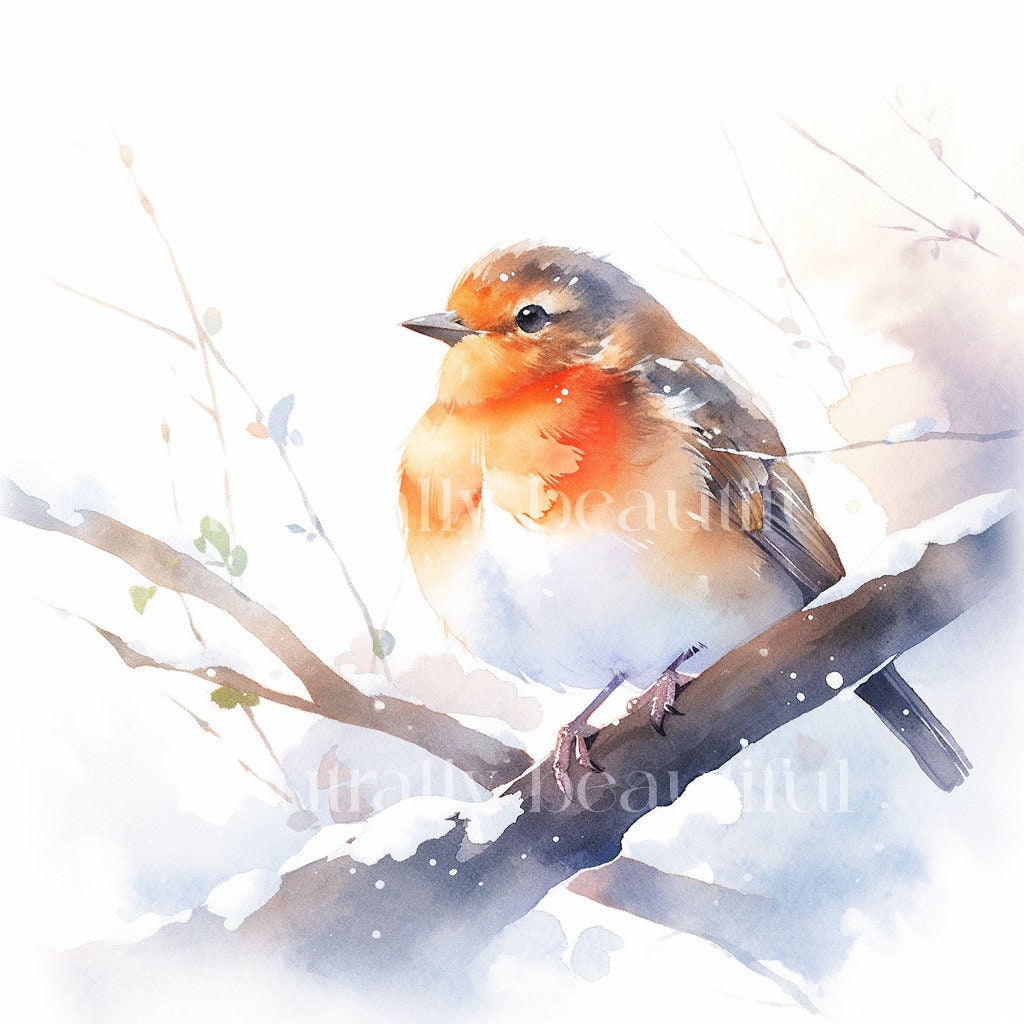 Cute Cartoon Snowy Robin Watercolour Clipart - 12 High Quality ...