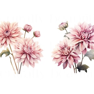 Dusty Pink Flowers Downloadable Clipart - HUGE 60 Pack Floral ...
