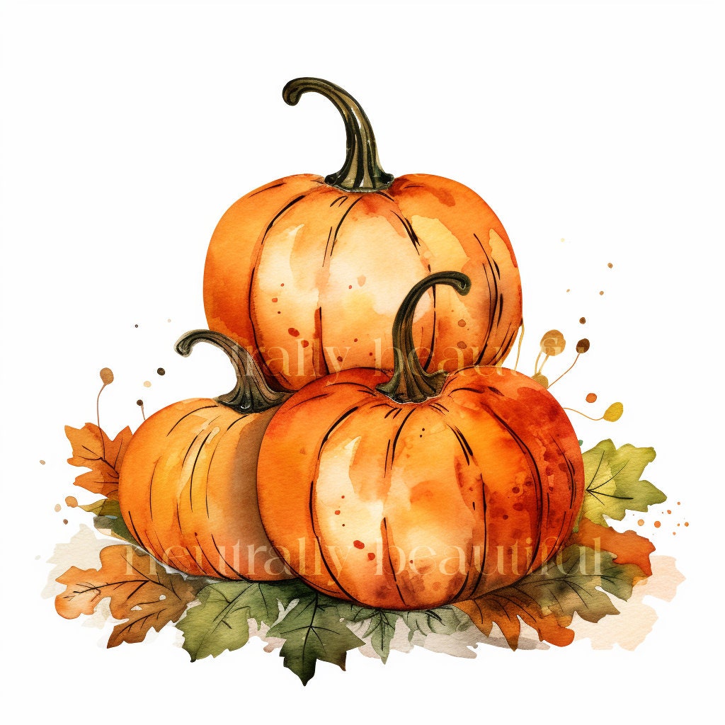 Autumn/fall Pumpkins - 12 High Quality Downloadable Jpgs - Flower ...