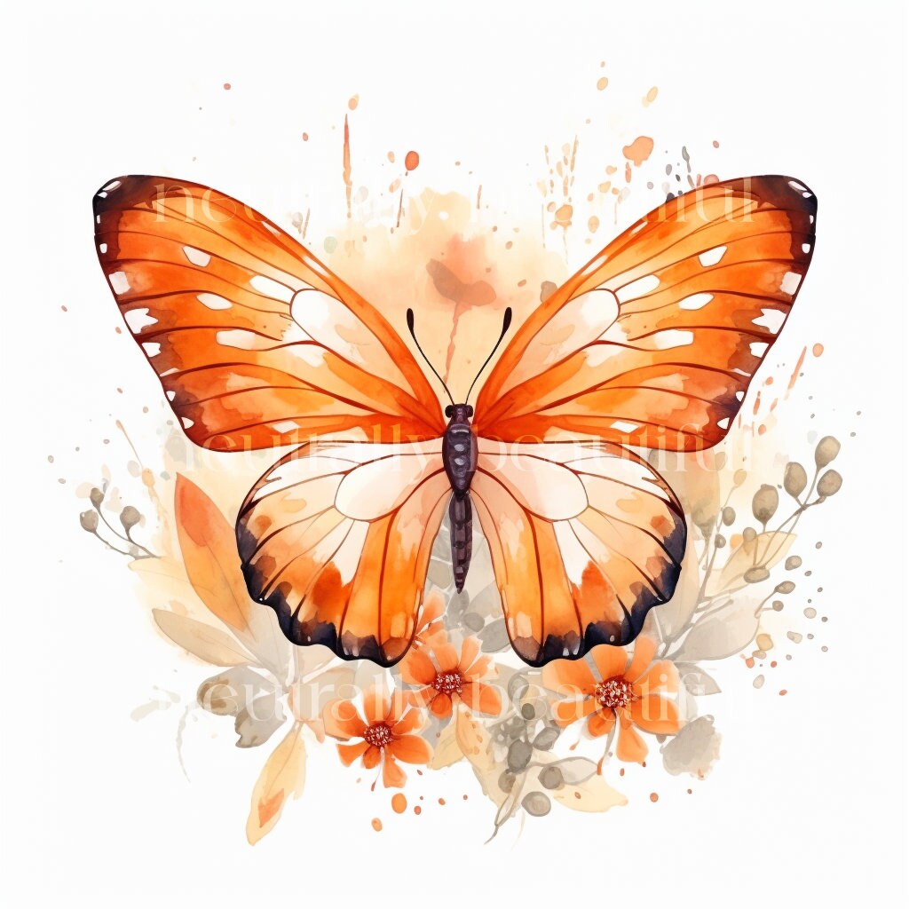Pretty Orange Watercolour Butterfly Downloadable Clipart 12 Jpgs ...