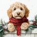 12 X Labradoodle Dogs at Christmas Clipart Bundle - High Quality Jpgs ...