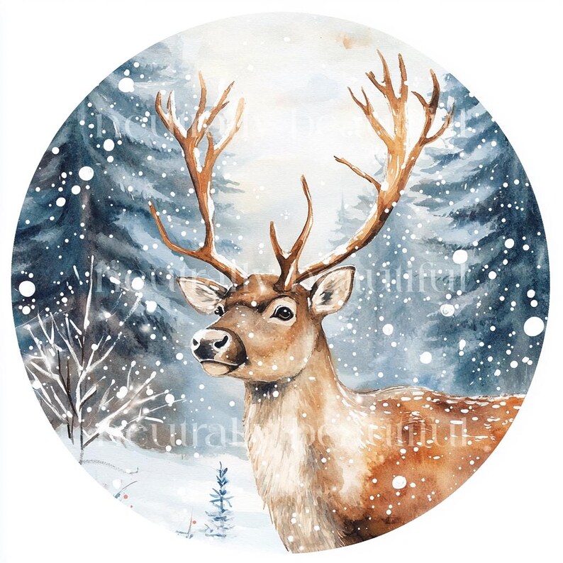 10 X Reindeer Clipart Circle Frames - High Quality Jpgs - Christmas ...