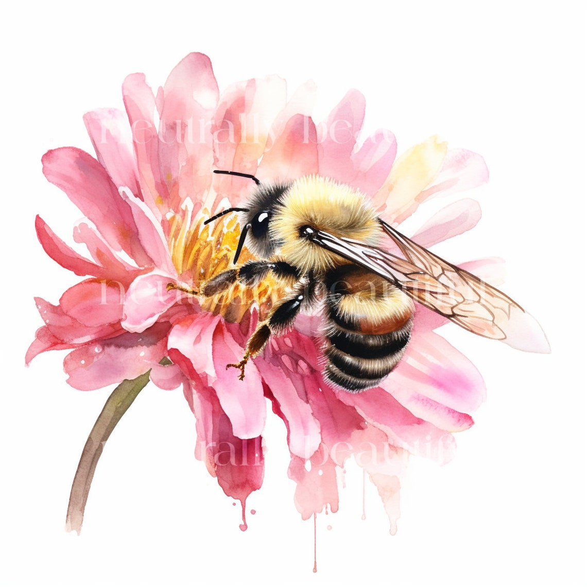 10 Watercolour Bee Clipart - Bees on Flowers, High Quality JPG ...