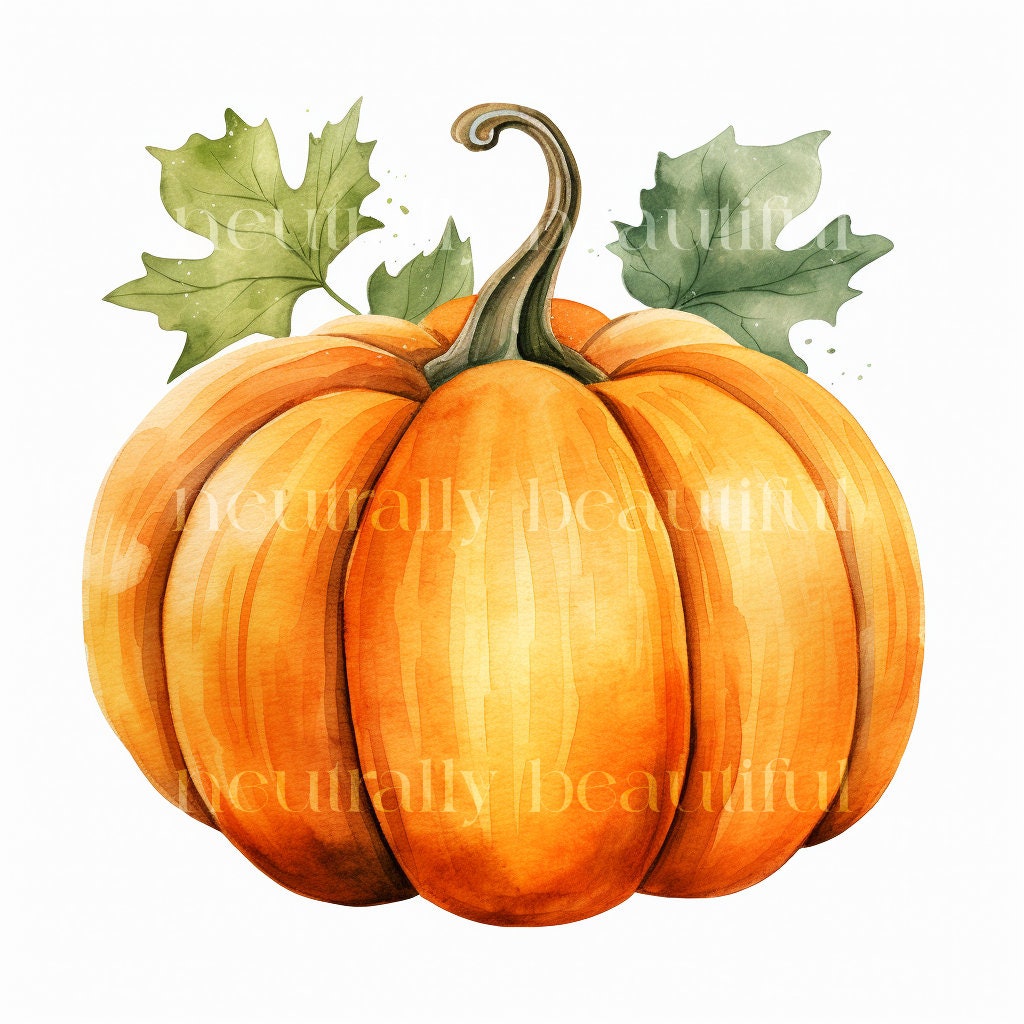 Autumn/fall Pumpkins - 12 High Quality Downloadable Jpgs - Flower ...