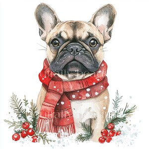 12 X French Bulldogs at Christmas Clipart Bundle - High Quality Festive ...
