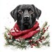 12 X Black Labrador at Christmas Clipart Bundle - High Quality JPG ...