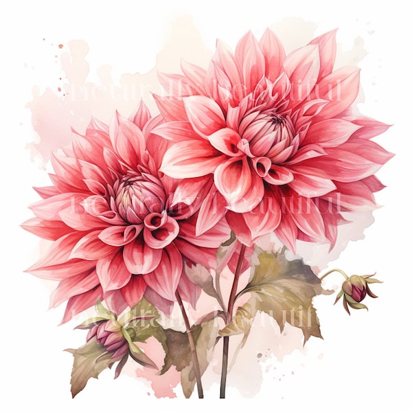 Dahlia Clipart - Etsy
