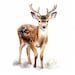 Individual Reindeer Clipart Images - 10 High Quality Downloadable Deer ...