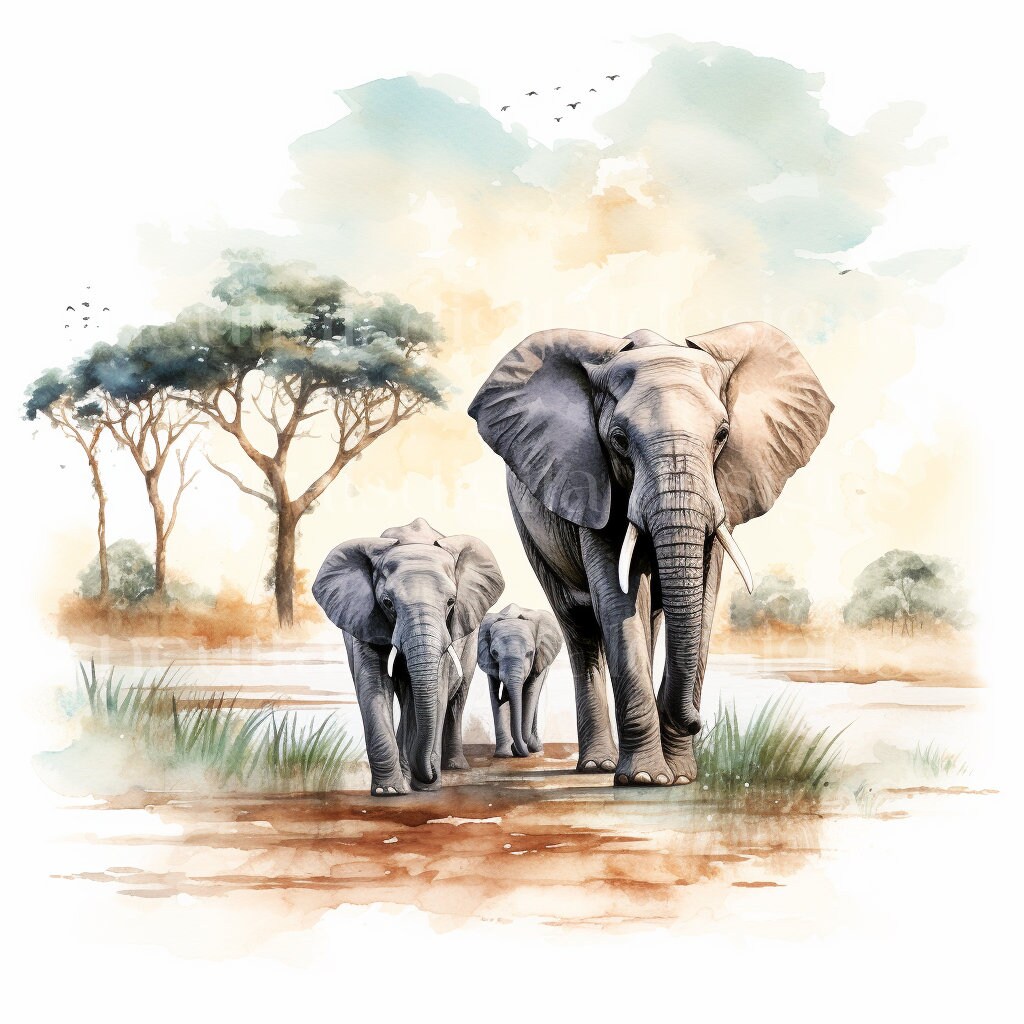 Elephant Watercolour Clipart - 14 High Quality Downloadable Jpgs ...