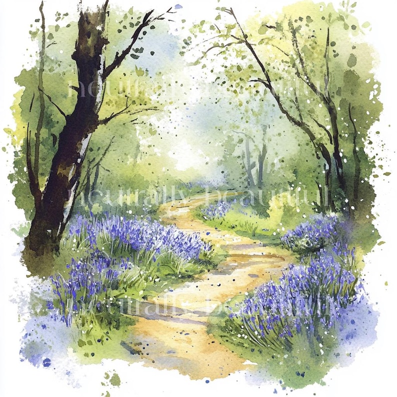 12 X Bluebell Woods Clipart Bundle - High Quality Jpgs - Spring ...