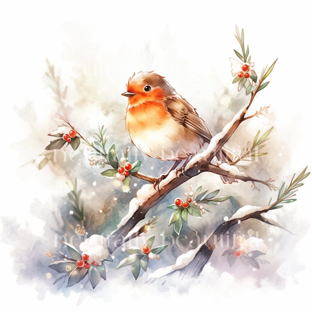 Cute Cartoon Snowy Robin Watercolour Clipart - 12 High Quality ...