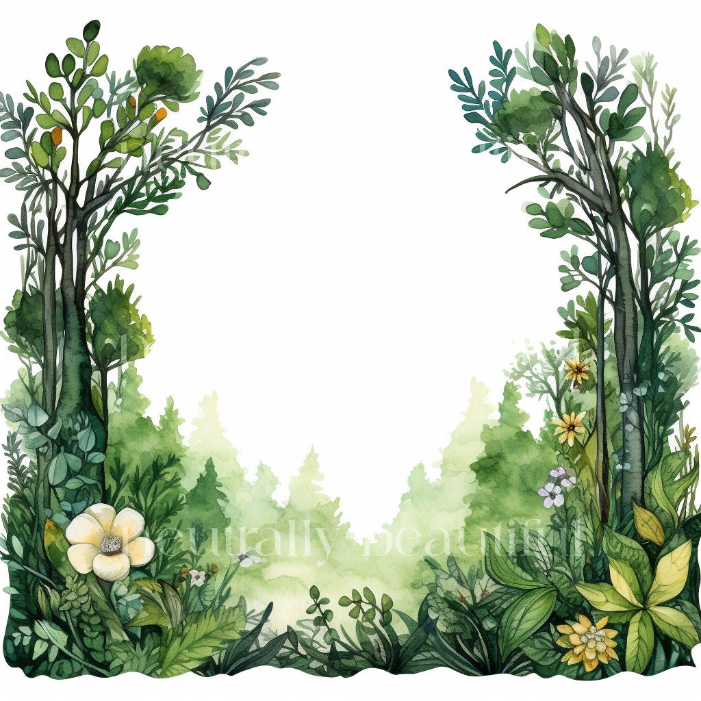 20 X Forest Themed Borders & Edges Downloadable Clipart Watercolour ...