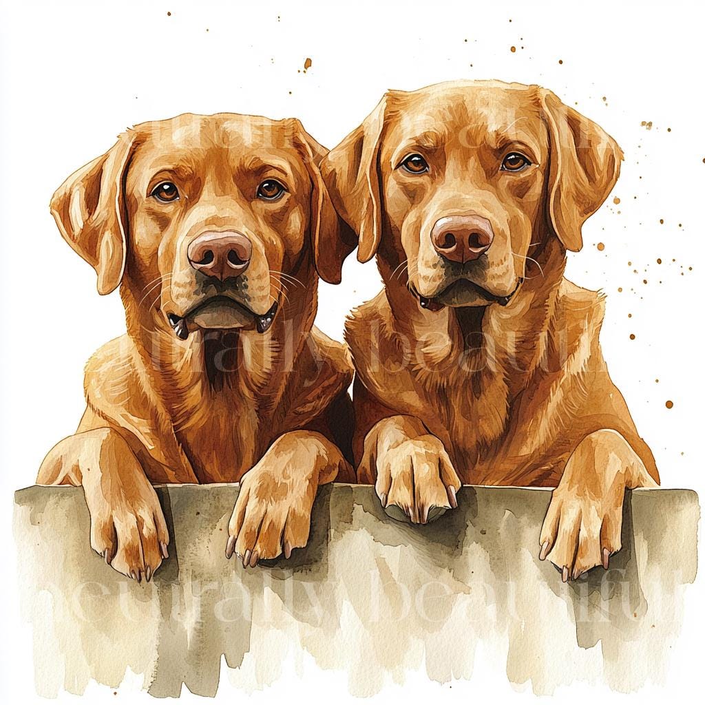 12 X Two Fox Red Labradors Clipart Bundle - High Quality Jpgs ...