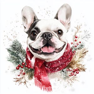 12 X French Bulldogs at Christmas Clipart Bundle - High Quality Festive ...